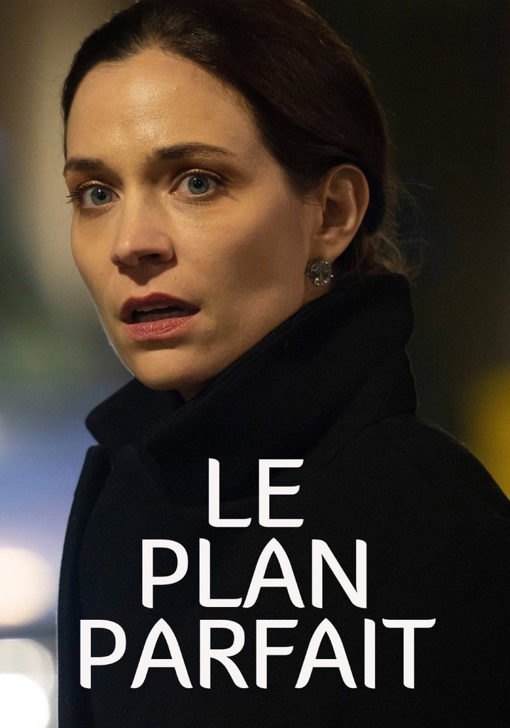 Regarder A Perfect Plan en streaming complet et légal